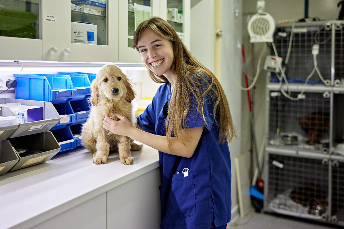 Thinking of a Diploma in Work Based Animal Care? - KEITS