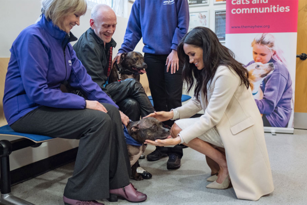 Mayhew Animal Centre's Patron - The Duchess of Sussex - KEITS