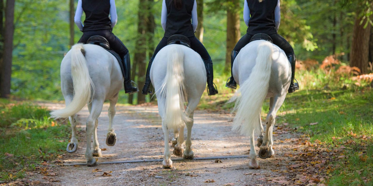 Welcome to KEITS - Leading Apprenticeships and Training Provider