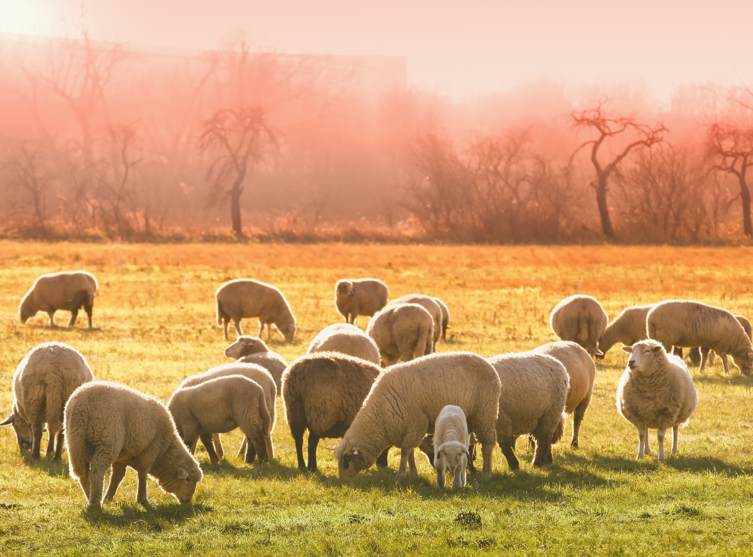 An interview with Noah, a previous KEITS apprentice - KEITS