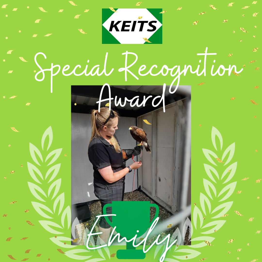 KEITS Special Recognition Award! - KEITS