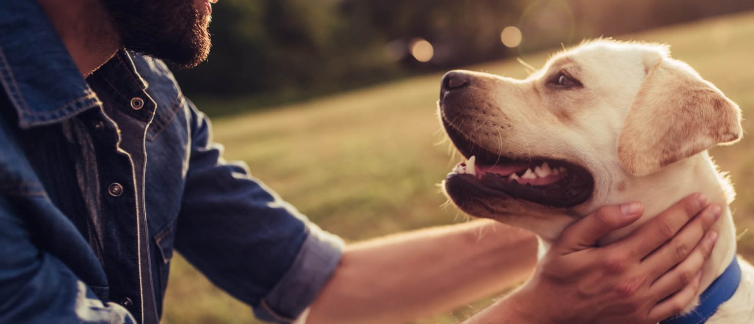 Welcome to KEITS - Leading Apprenticeships and Training Provider