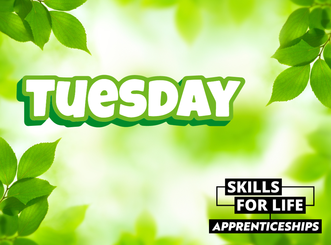 National Apprenticeship Week - Employer Tuesday - KEITS