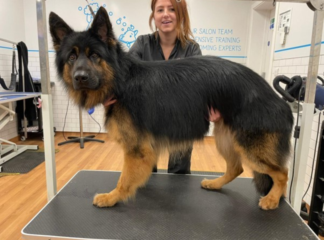 Special Recognition Award - KEITS