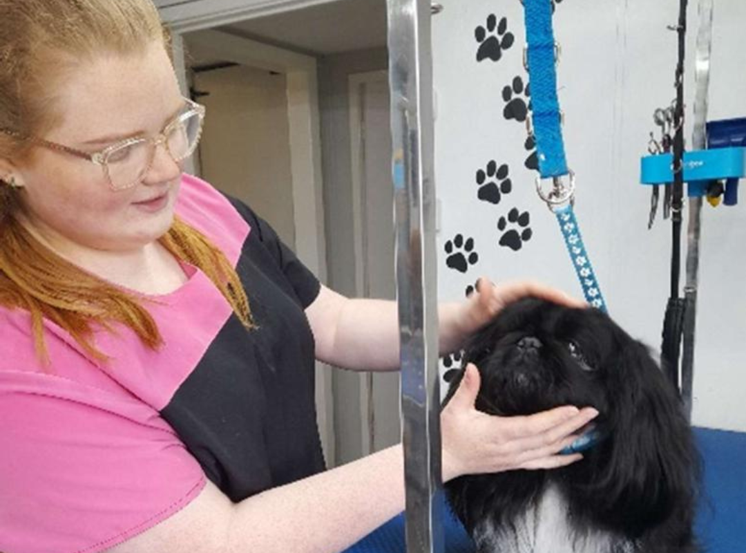 Special Recognition Award - KEITS