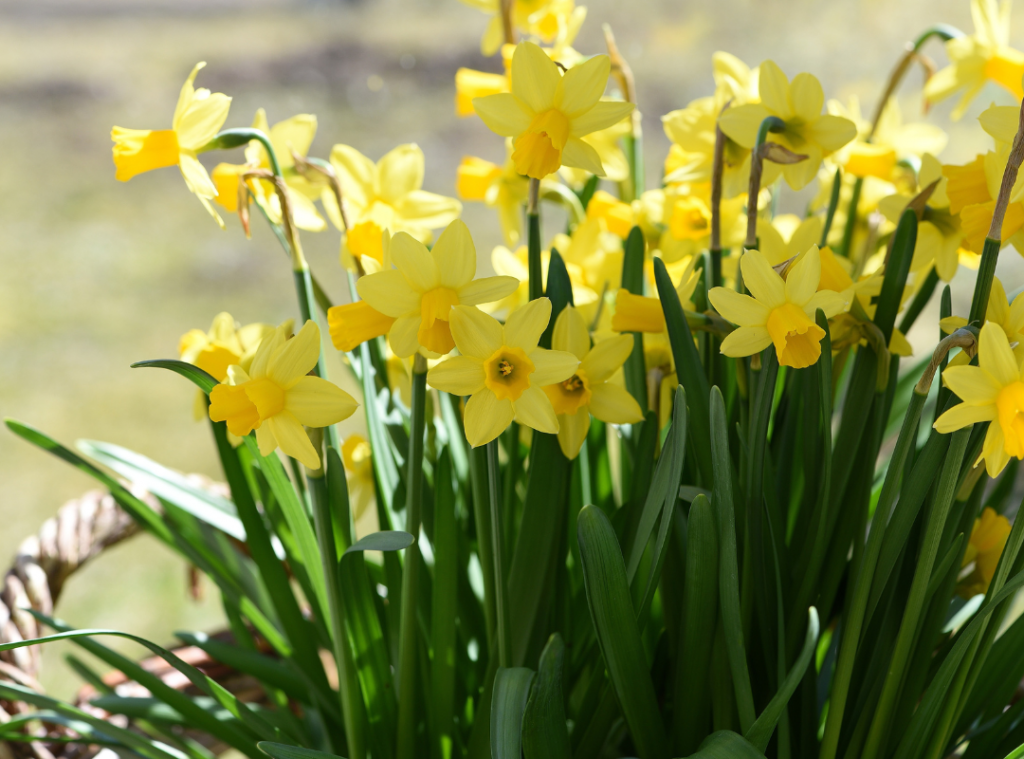 Welcome to KEITS - Leading Apprenticeships and Training Provider