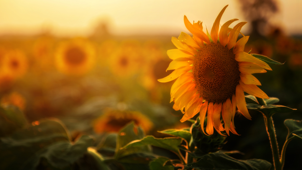 Welcome to KEITS - Leading Apprenticeships and Training Provider