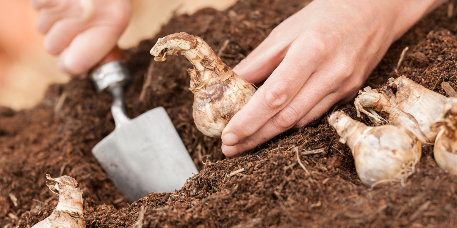 Welcome to KEITS - Leading Apprenticeships and Training Provider