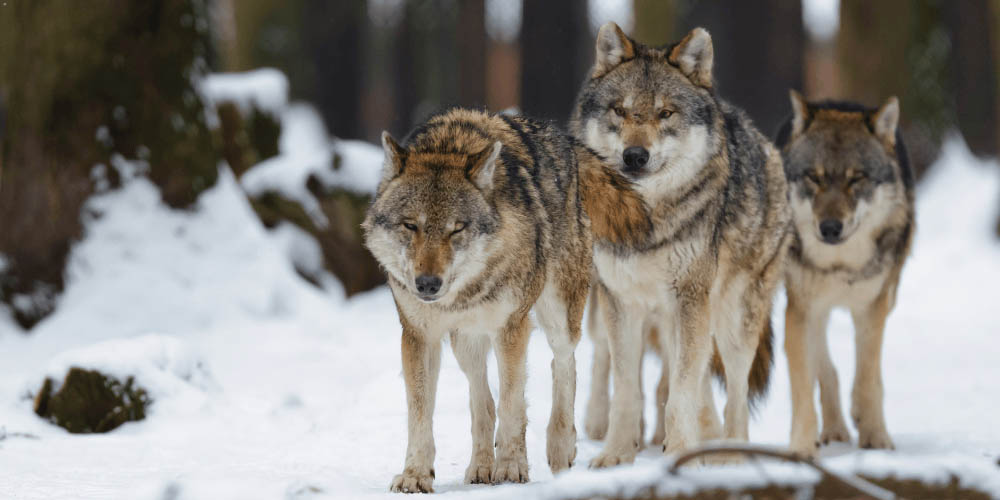 Welcome to KEITS - Leading Apprenticeships and Training Provider