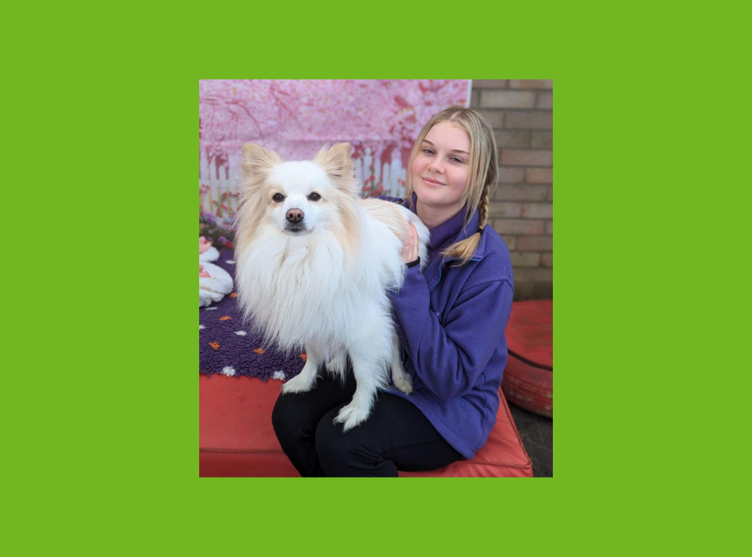 It's all Distinctions! - KEITS