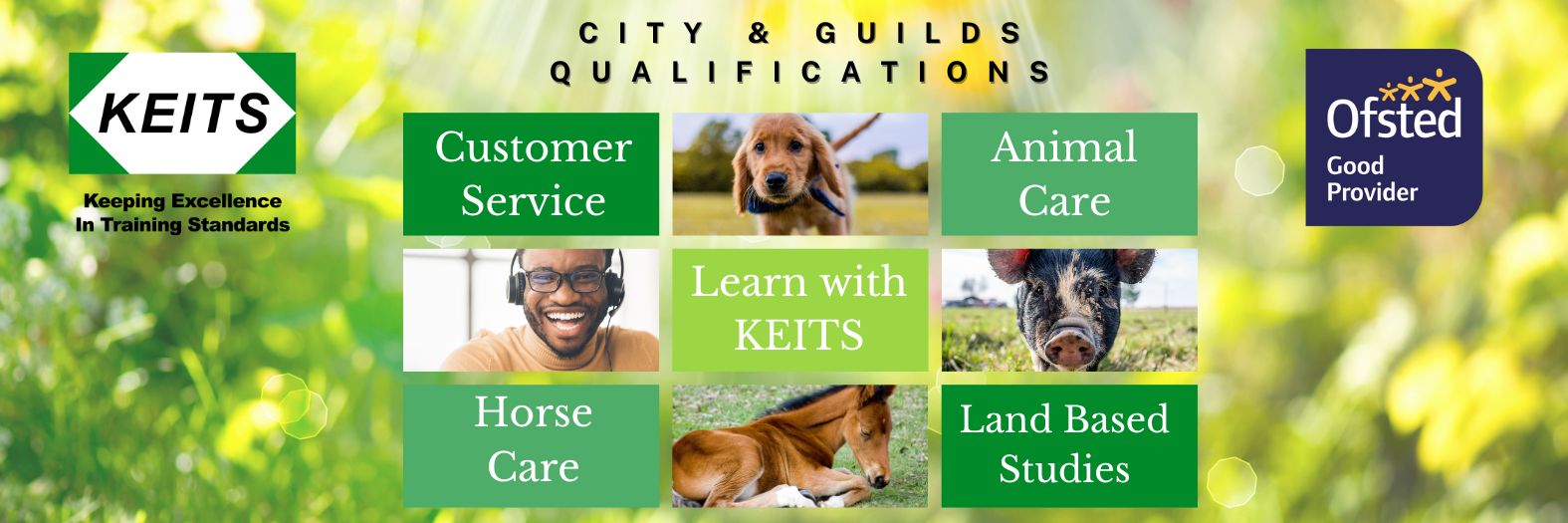 Do you have individuals not in school/college or not ready to start ...