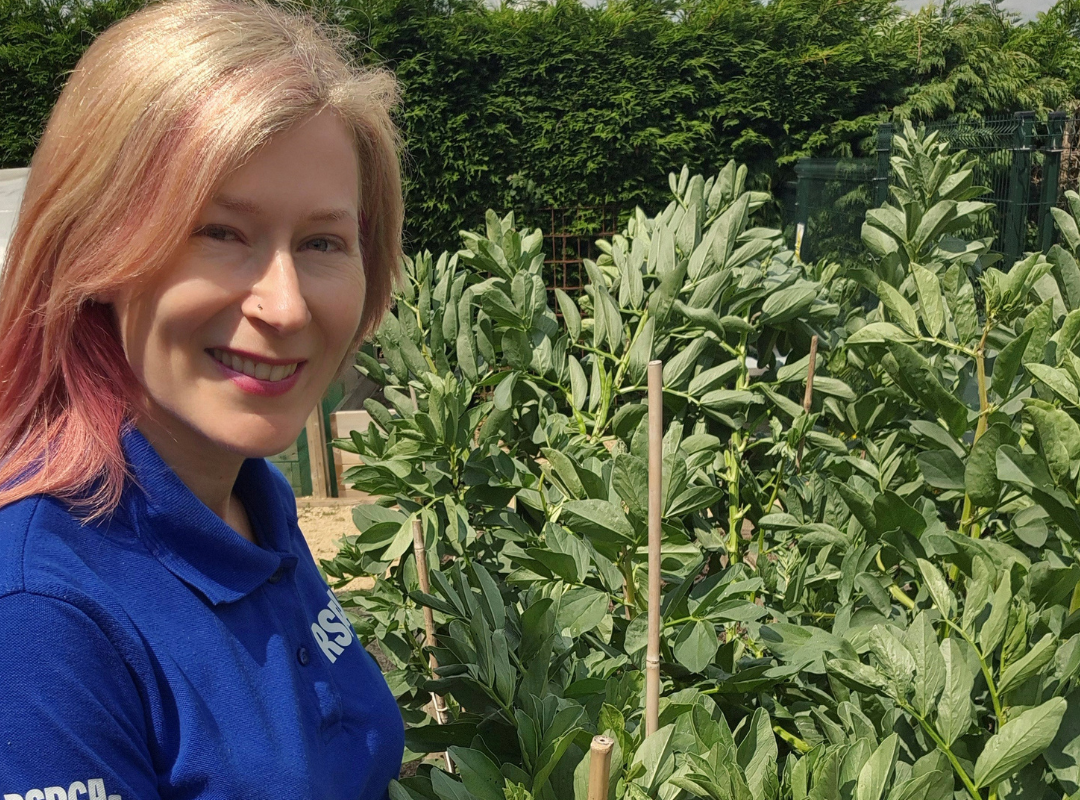 KEITS Special Recognition - KEITS